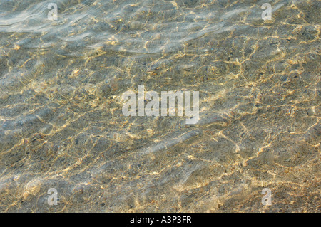 Sandy bottom through the clear water on Lake Baikal in Siberia, Russia ...