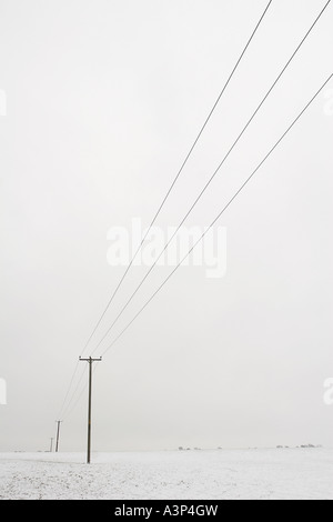 telegraph telephone poles in snow Stock Photo - Alamy