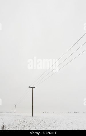 telegraph telephone poles in snow Stock Photo - Alamy