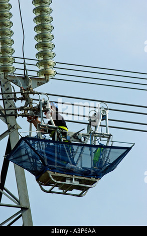 Electricity workers working on live power lines Stock Photo - Alamy