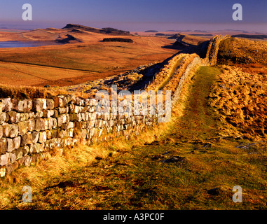Hadrian's Wall, Hotbank, Bardon Mill, Northumberland Stock Photo - Alamy