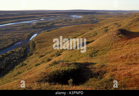 Killik river flowing through arctic tundra in autumn National Petroleum ...