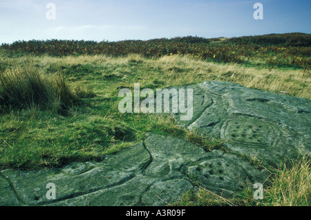 Cup and ring mark marks prehistoric Neolithic rock art on natural rock ...