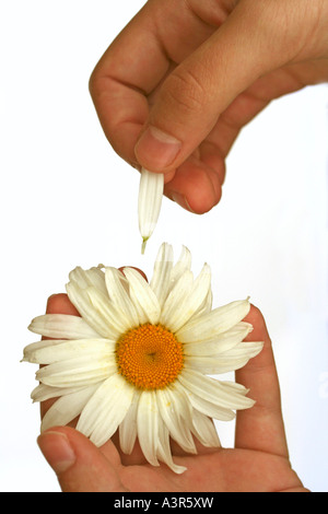 Girl pulling petals off a flower Stock Photo - Alamy