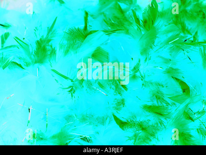 Feathers Fabrics Animal Patterns Stock Photo - Alamy