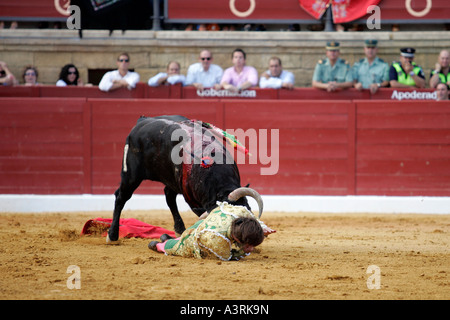 El Juli being caught by bull bullfighter was not gored nor injured ...