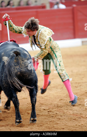 Action in bull fight. The kill , Bullfighters, Bulls, Bullfighting ...