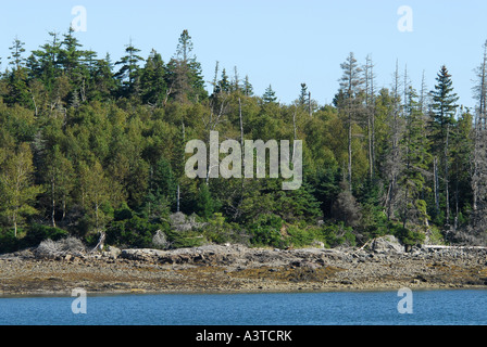 North Heaven Island Little Throfare Stock Photo - Alamy