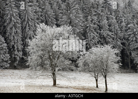 Landscape near Saalburg, Thuringia, Germany Stock Photo - Alamy