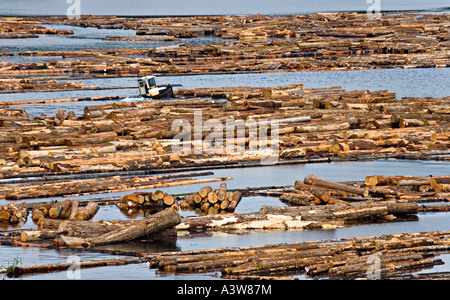 Tugboat with floating rafts of logs at Englewood Forest Operations at ...