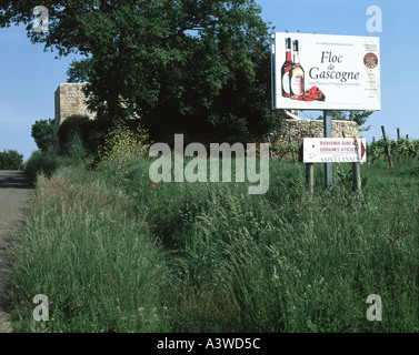 Vineyard near Vic Fezensac Stock Photo - Alamy
