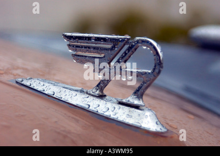 Austin Flying A bonnet logo from Austin A35 Stock Photo - Alamy