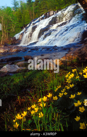 Waterfall in a forest, Bond Falls, Ontonagon River, Ontonagon County ...