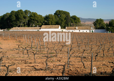 Requena in Valencia province a wine region of Spain Stock Photo - Alamy