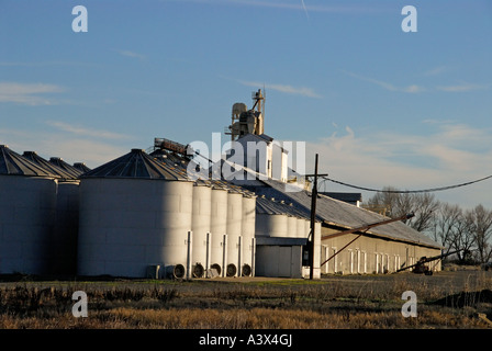 Rice storage silos with grain elevator at rural rice dryer in South ...