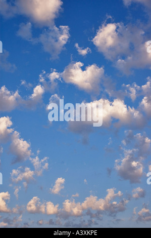 Blue Cloud sky Stock Photo - Alamy