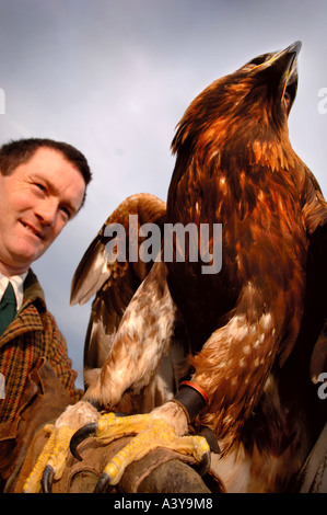 FALCONER IAN HURLEY WITH THE GOLDEN EAGLE USED TO HUNT FOXES WITH THE ...