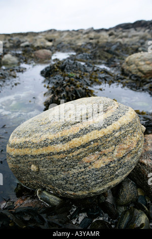 Striped gneiss rocks on beach in the outer Hebrides, Scotland Stock ...