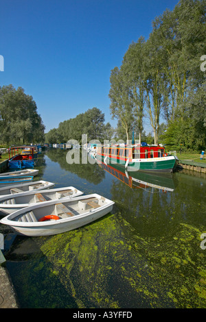 Boats moored on the River Chelmer and Blackwater Navigation near Hoe ...