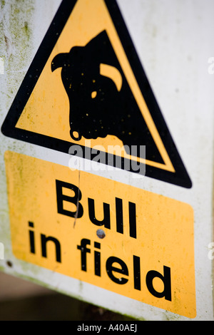 Cow warning sign in yellow at Youngs Jersery farm Stock Photo - Alamy