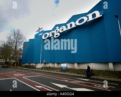 Organon logo with Akzo Nobel logo their mother company until 2006 ...