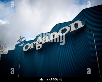 Organon building with Organon and Akzo Nobel logo their mother company ...