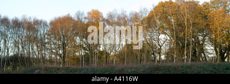 Bawdeswell Heath Norfolk UK Stock Photo - Alamy