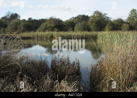 Pingo trail at Stow Bedon Thompson Norfolk UK Stock Photo - Alamy