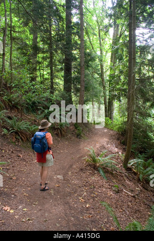 A trail in the arboretum Stock Photo - Alamy