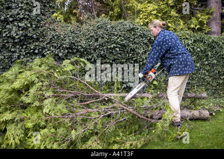 A woman using a chainsaw to cut a tree branch Stock Photo - Alamy