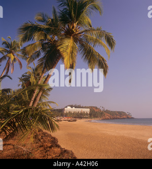 Bogmalo beach hotel and palm tree, Goa, India, 1981 Stock Photo - Alamy