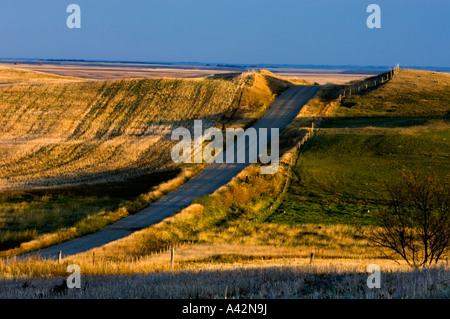 Prairie features at dawn- dirt road, near Swift Current, Saskatchewan ...