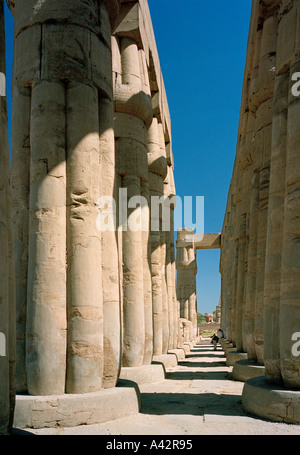 Standing columns in the temple of Amun Ra at Luxor Egypt Stock Photo ...