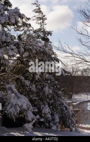 Winter in Naperville Stock Photo - Alamy
