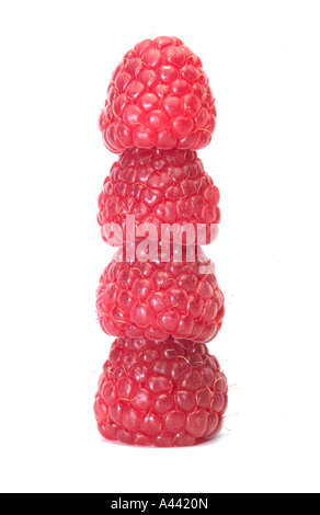 Four raspberries stacked on top of each other, isolated on white ...