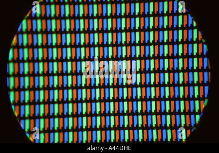 Microscope styled close up view of human skin and hair roots Stock ...