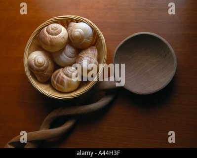 Edible snails Helix sp Snail shells in basket still life Stock Photo ...