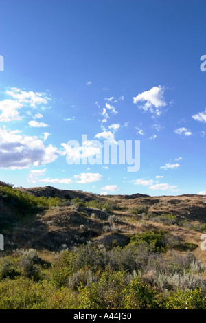 Swift Current Creek near Stewart Valley in Saskatchewan Canada Stock ...