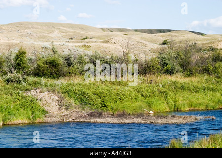Swift Current Creek near Stewart Valley in Saskatchewan Canada Stock ...