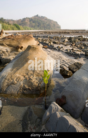 India Andaman and Nicobar North Andaman Island Diglipur two people on ...
