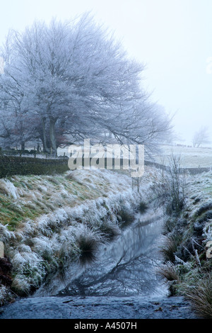 Redmires Reservoir, Sheffield, England, UK Stock Photo - Alamy