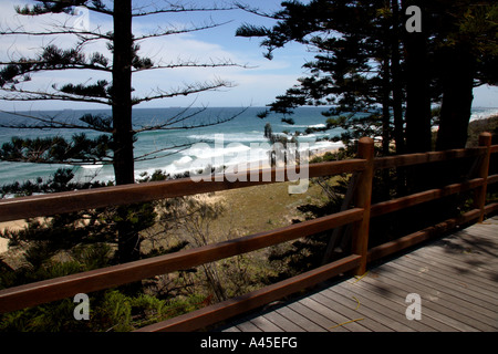 point cartwright beach summer Stock Photo - Alamy