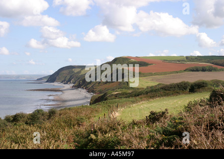 North Devon coast at Peppercombe beach near Clovelly Stock Photo - Alamy