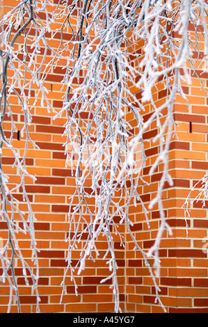 Frozen brick wall covered by hoarfrost Stock Photo - Alamy