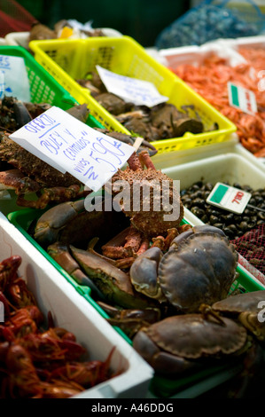 Crabs on the counter. Fresh crabs on counter in a fish store Stock ...