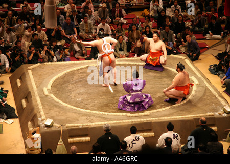 Sumo Wrestler Tokio Sumoringer Sumotori Stock Photo - Alamy