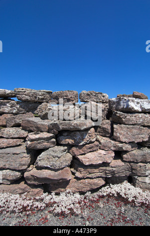Stone wall. Alvaret ,Öland, Sweden Stock Photo - Alamy