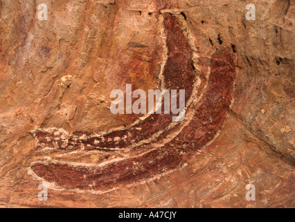 Aboriginal rock art depicting a fish, Ubirr, Kakadu National Park, Northern Territory, Australia ...