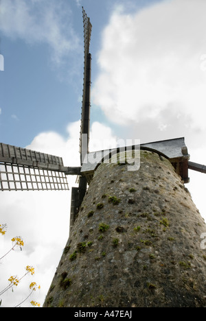 Morgan Lewis Windmill in St. Andrew, Barbados - one of only two working ...