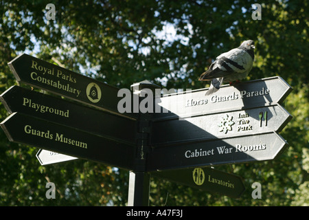 St. James's Park, London September 2007 Stock Photo - Alamy